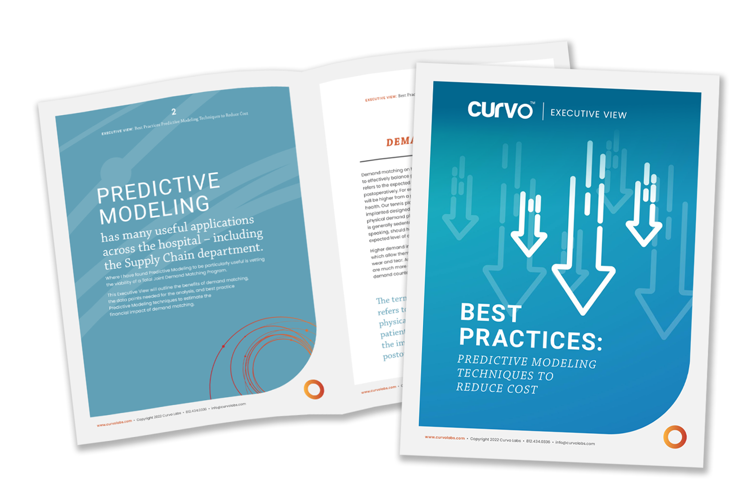 Executive View: How Predictive Modeling Can Create Significant Cost Savings Executive View: How Predictive Modeling Can Create Significant Cost Savings
